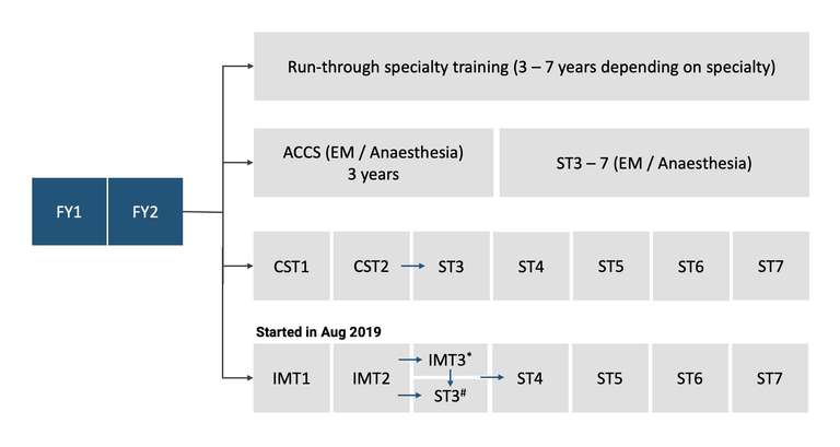 UK Medical Training - From medical school to consultant ...
